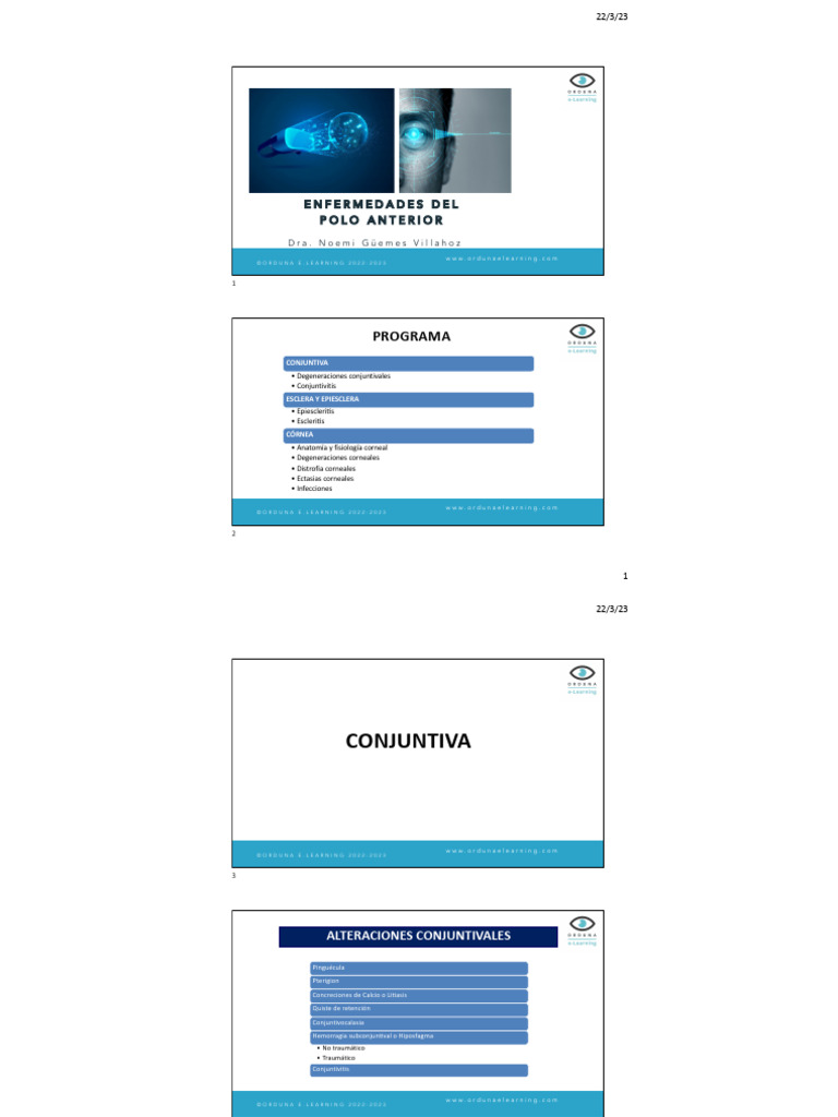 Presen Polo Anterior | PDF