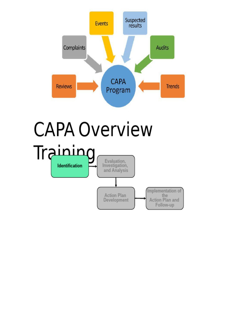 Corrective And Preventive Actions Pdf