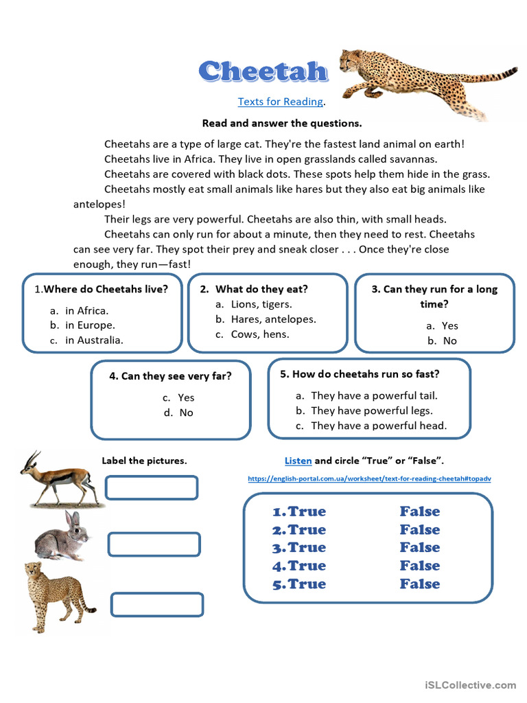 Cheetah. Text For Reading. Animals. | PDF