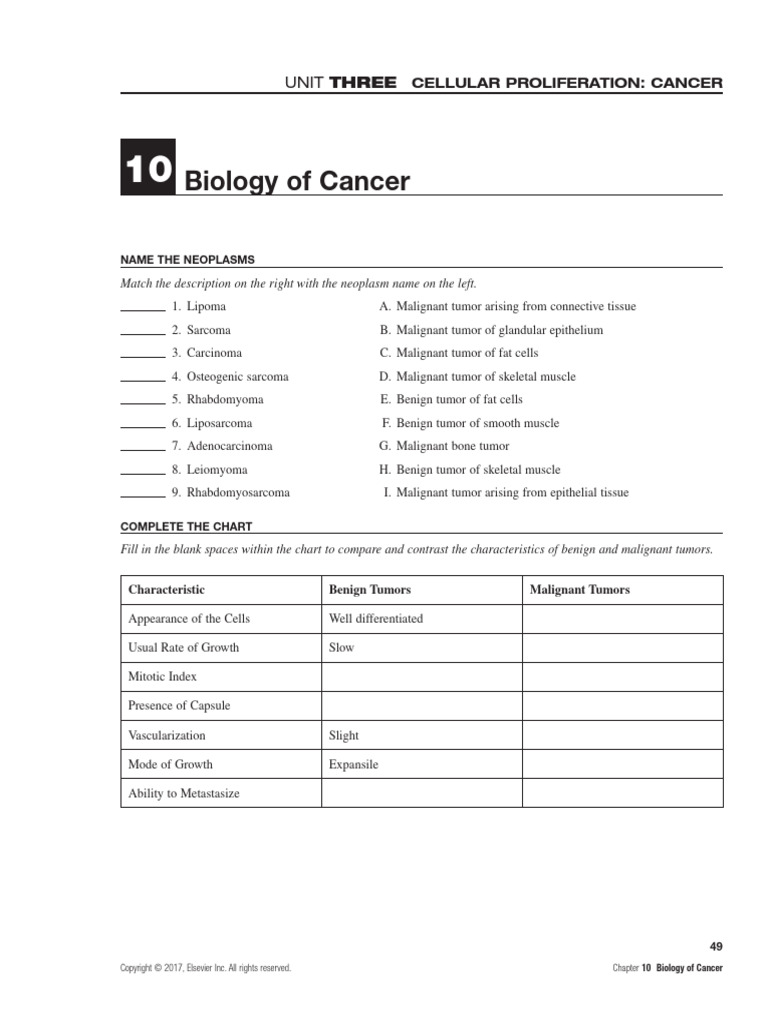 CH 10 Worksheet | PDF