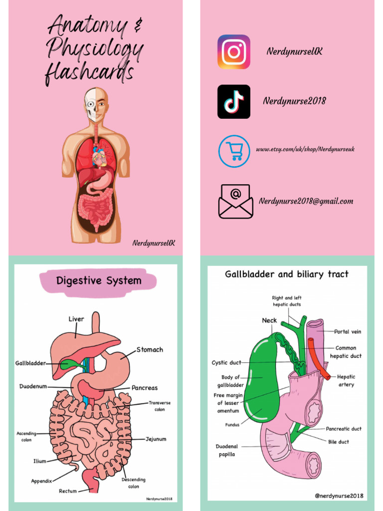 Newanatomy Anatomy Flashcard | PDF