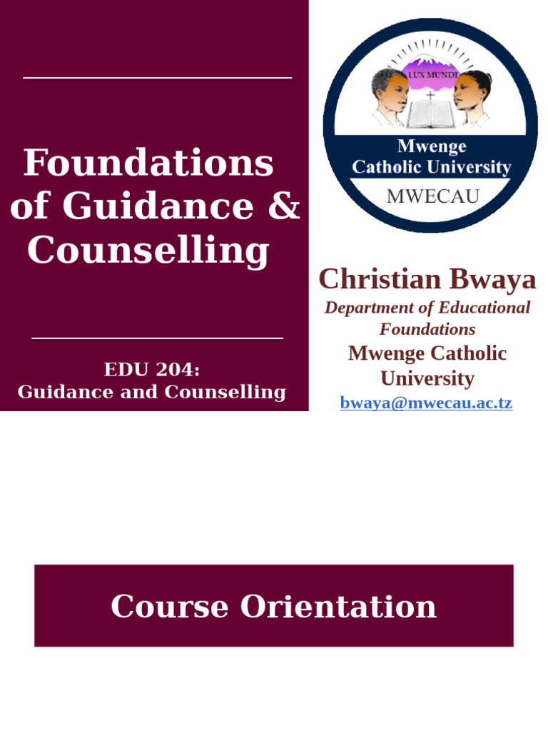 Guidance and Counselling Foundations | PDF | Attitude (Psychology ...