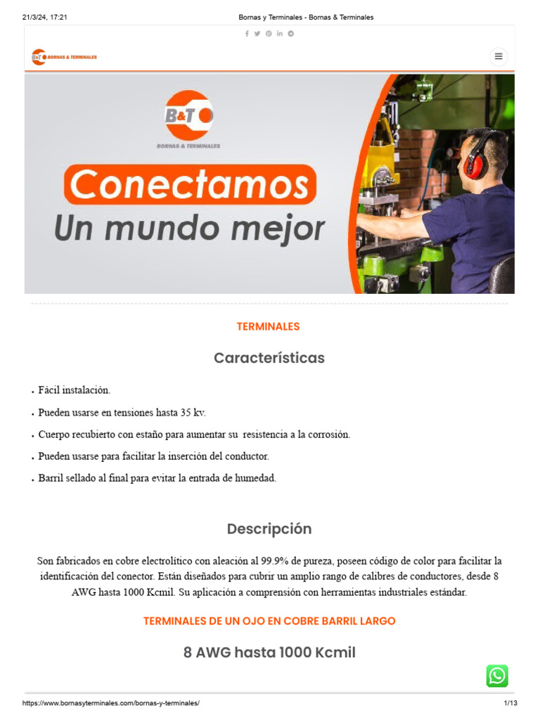 FICHA Bornas y Terminales - Bornas & Terminales | PDF
