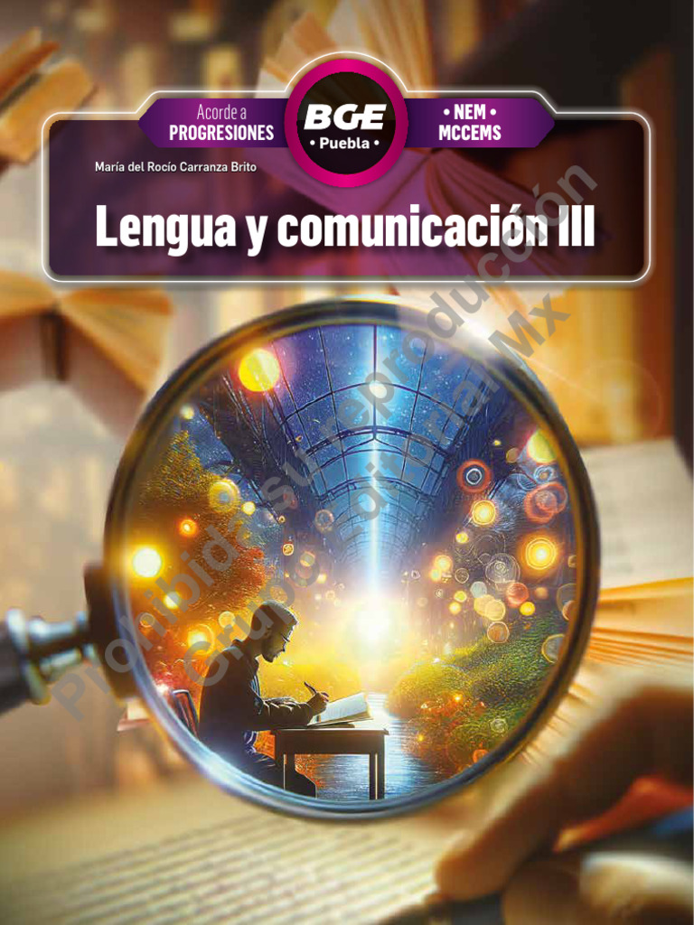 Bge - Lengua y Comunicación III | PDF