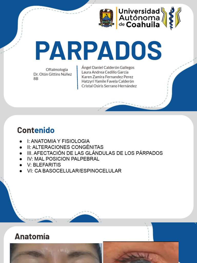 Parpados Oftalmología | PDF