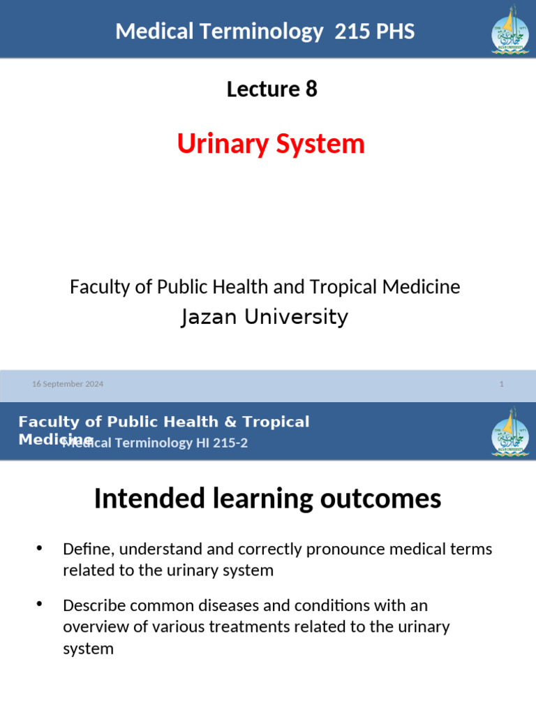 Lecture 8 Urinary System Pdf