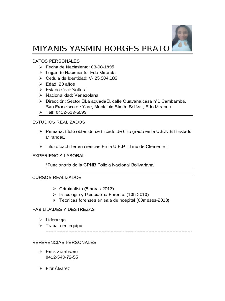 Curriculum Borges | PDF