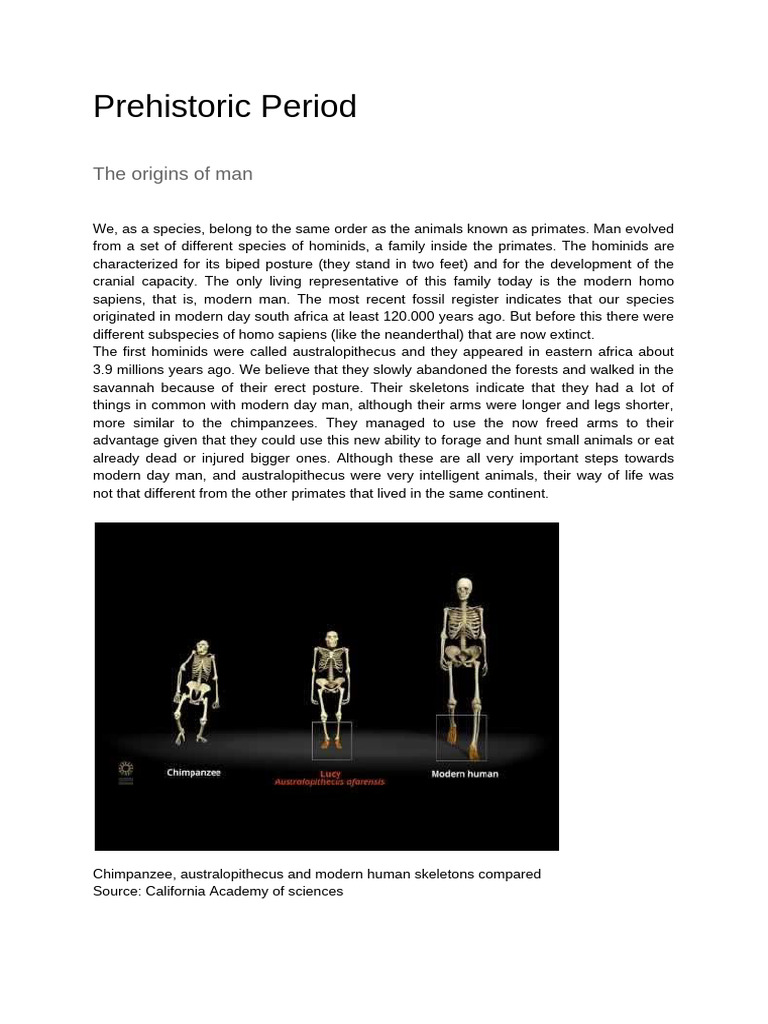 1° Año Cuadernillo History | PDF