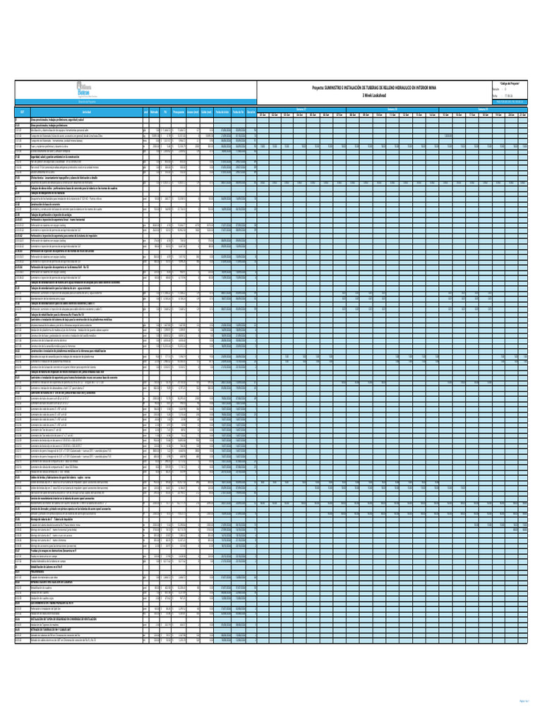 3 Week Look Ahead | PDF