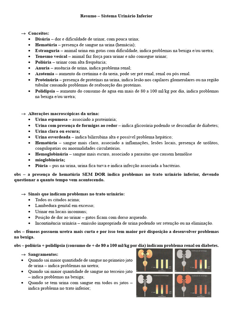 Resumo TUI | PDF