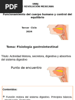 Reflejos Digestivos: Gastroileal e Ileocólico | PDF