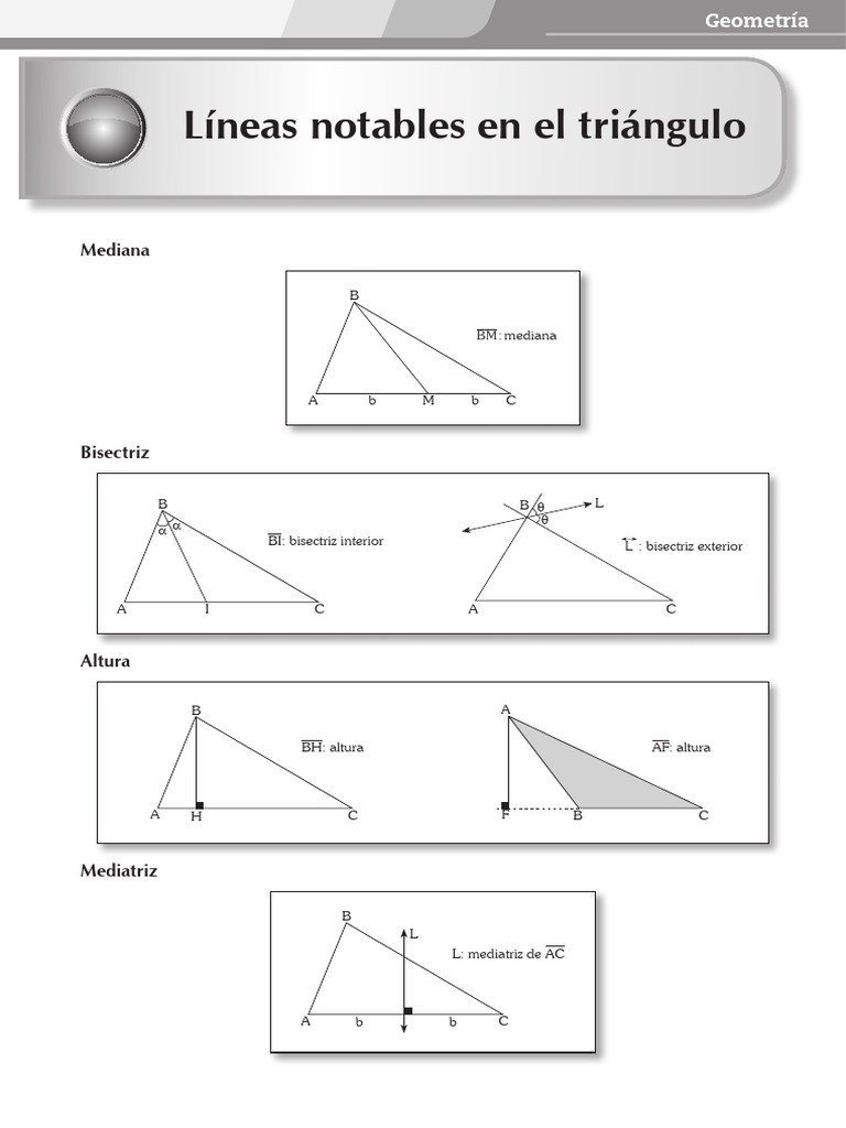 4 - Lineas Notables - 2024 Ii | PDF