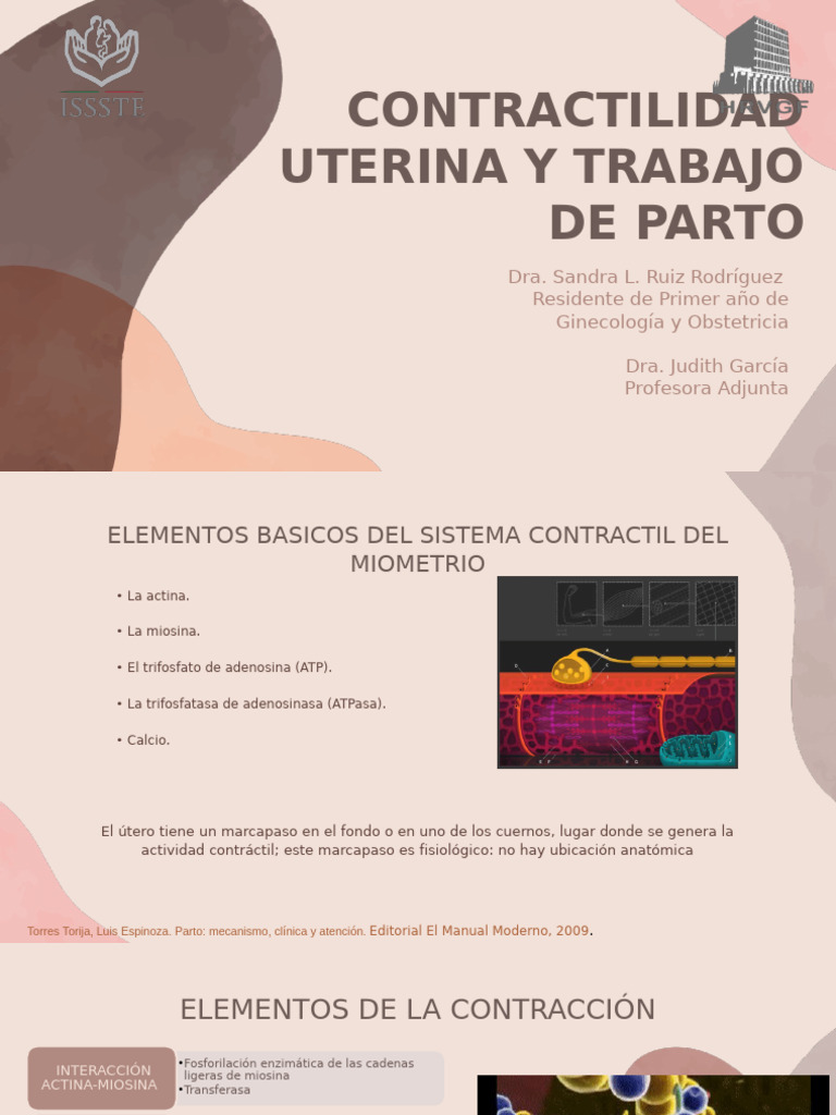 Exposicion Final TP | PDF