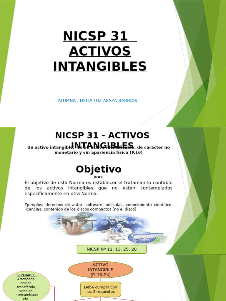 Nicsp 31 | PDF