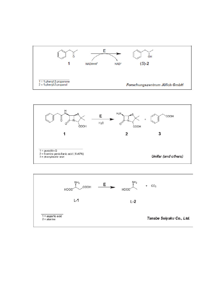 Mecanismos de Catalisis Enzimatica | PDF