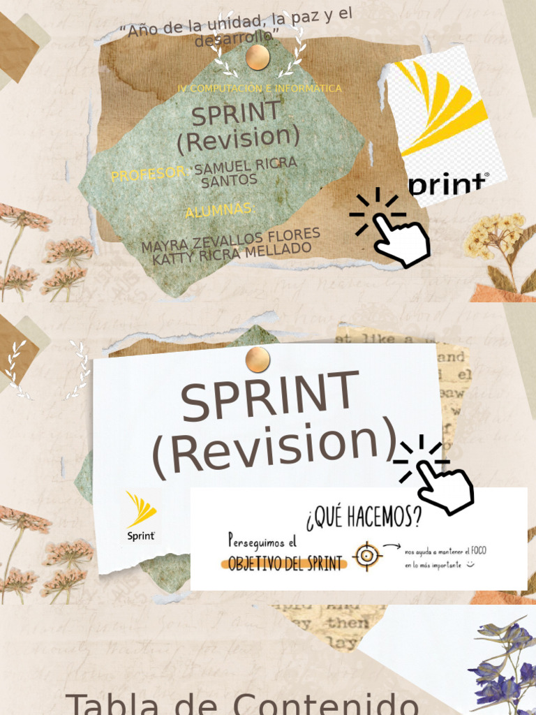 Revision Del Sprint | PDF