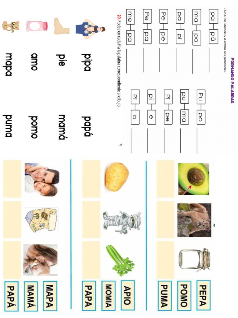 Actividad Complementaria | PDF