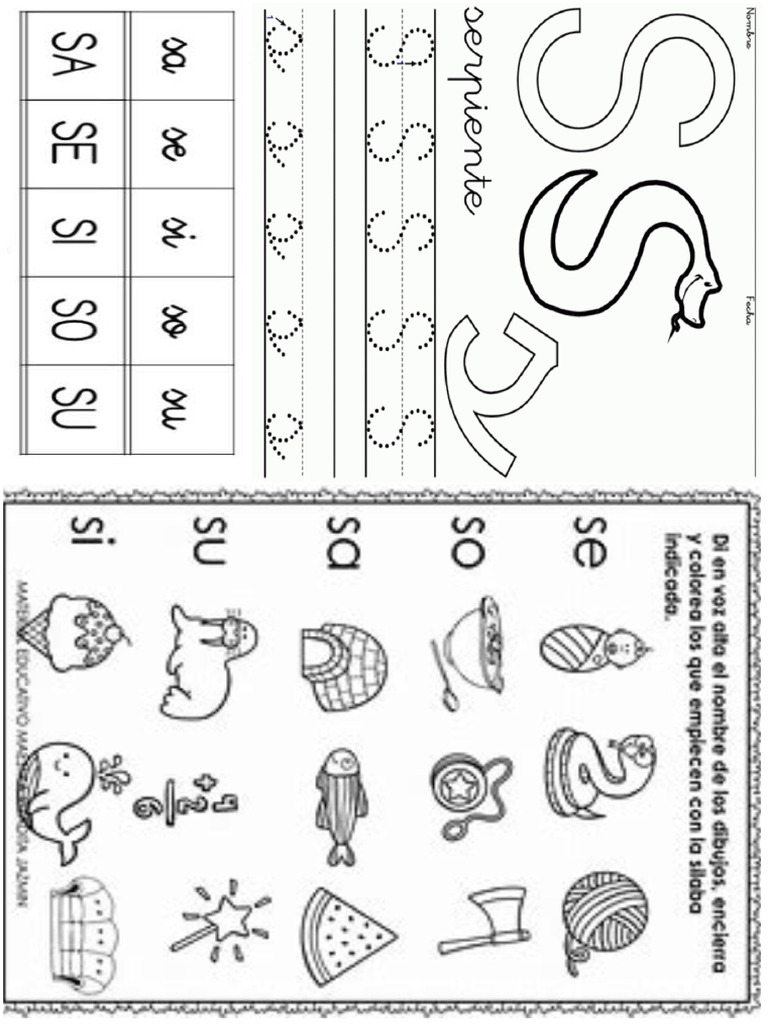Actividades Con La Ss | PDF