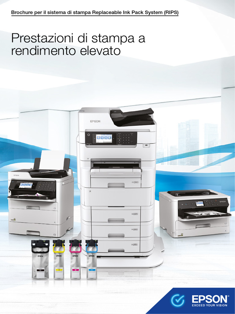 EPSON RIPS Series | PDF