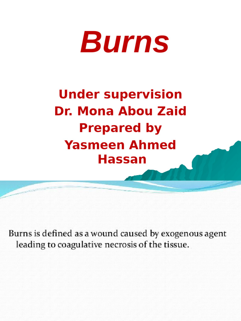 Burns | PDF