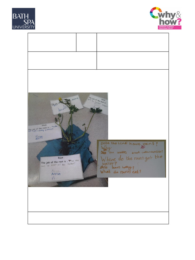 Y3eg Plants Labelling and Q Raising WS Plan | PDF