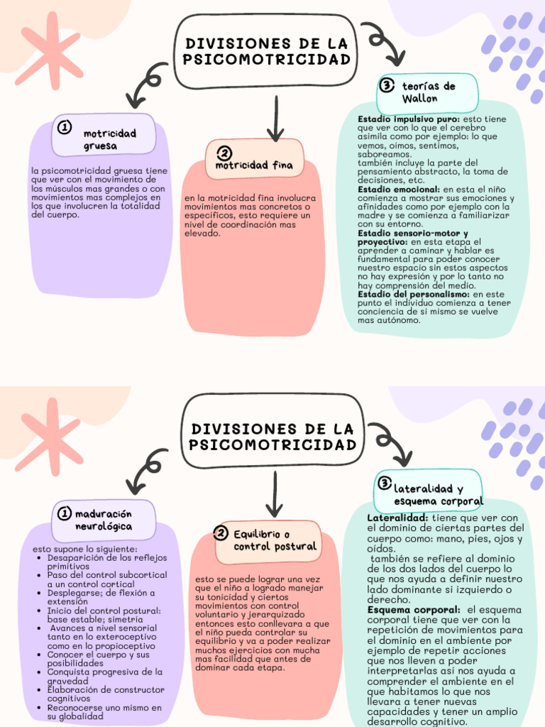 Organizador Grafico Divisiones de La Psicomotricidad | PDF | Las ...