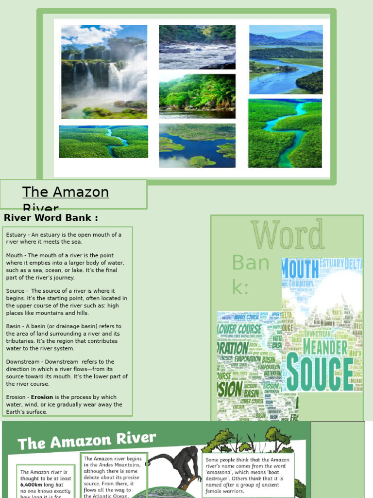The Amazon River | PDF