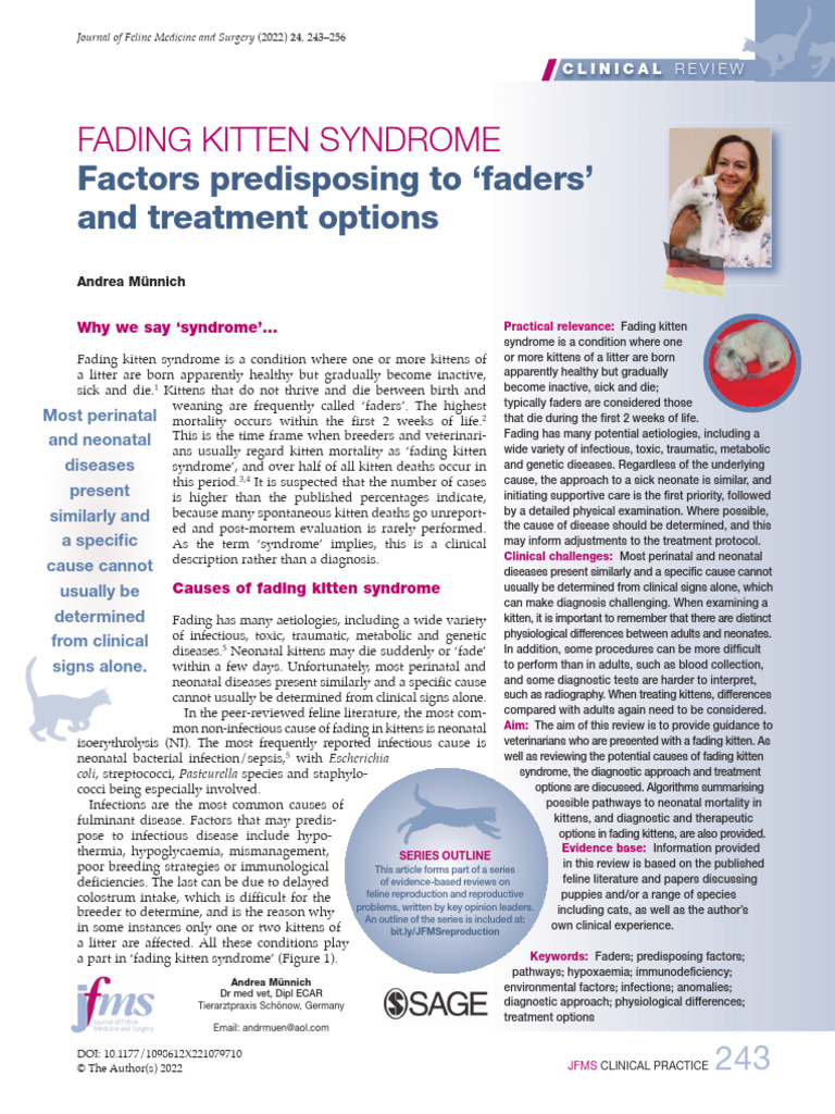 Fading Kitten Syndrome: Factors Predisposing To Faders' and Treatment ...