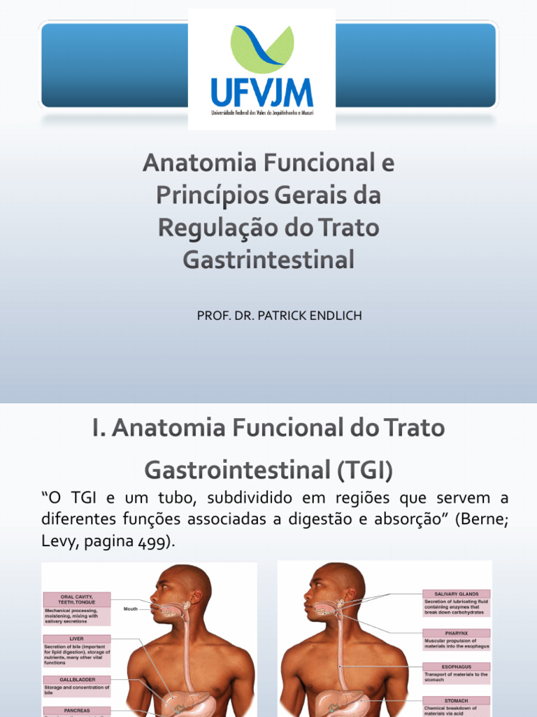 Aula 1. Anatomia Funcional e Principios Gerais Da Regulacao Do TGI | PDF