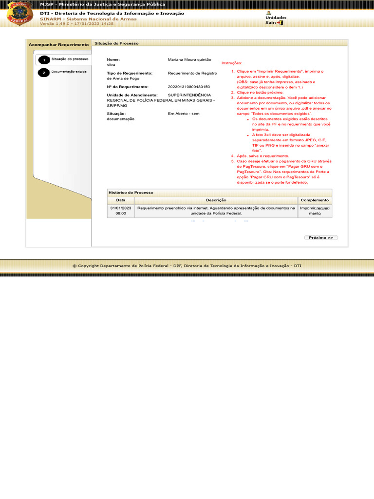 SINARM - Sistema Nacional de Armas 2 | PDF