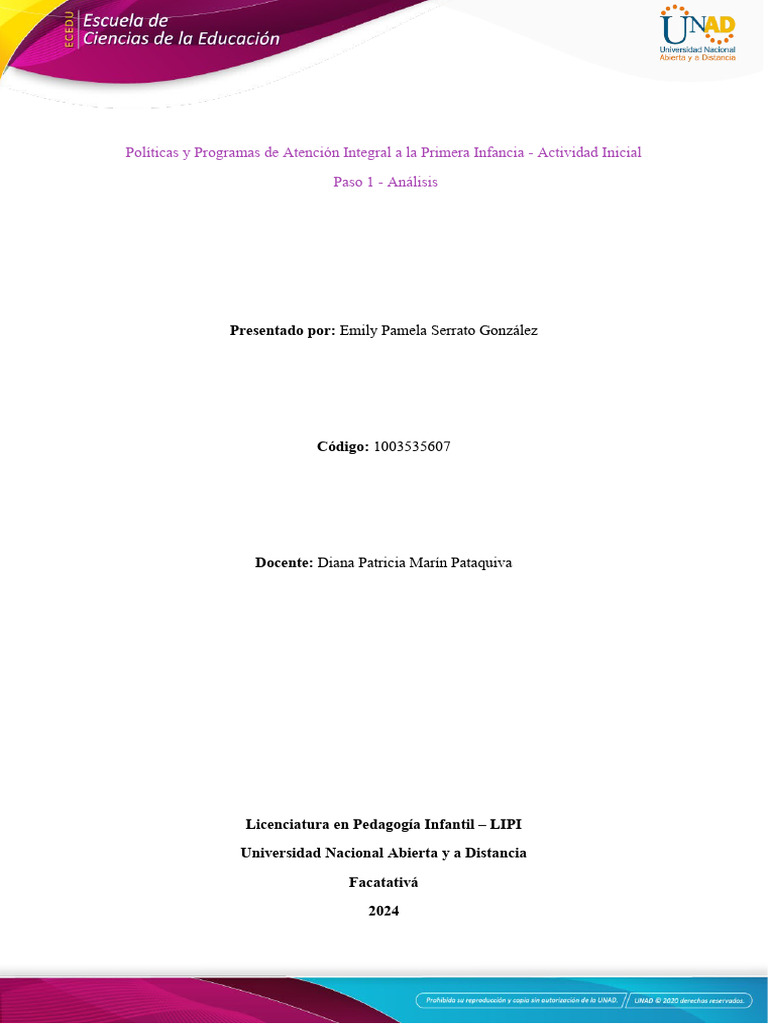 Anexo 1 - Formato Paso 1 - Análisis | PDF