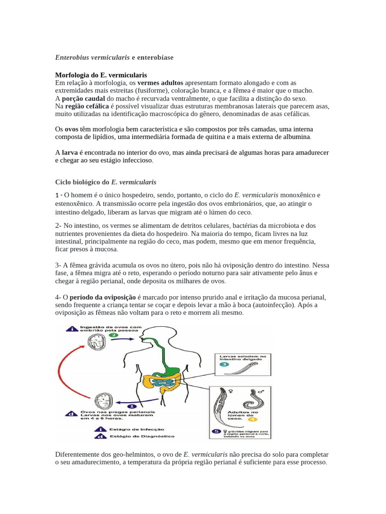 Enterobius Vermicularis | PDF