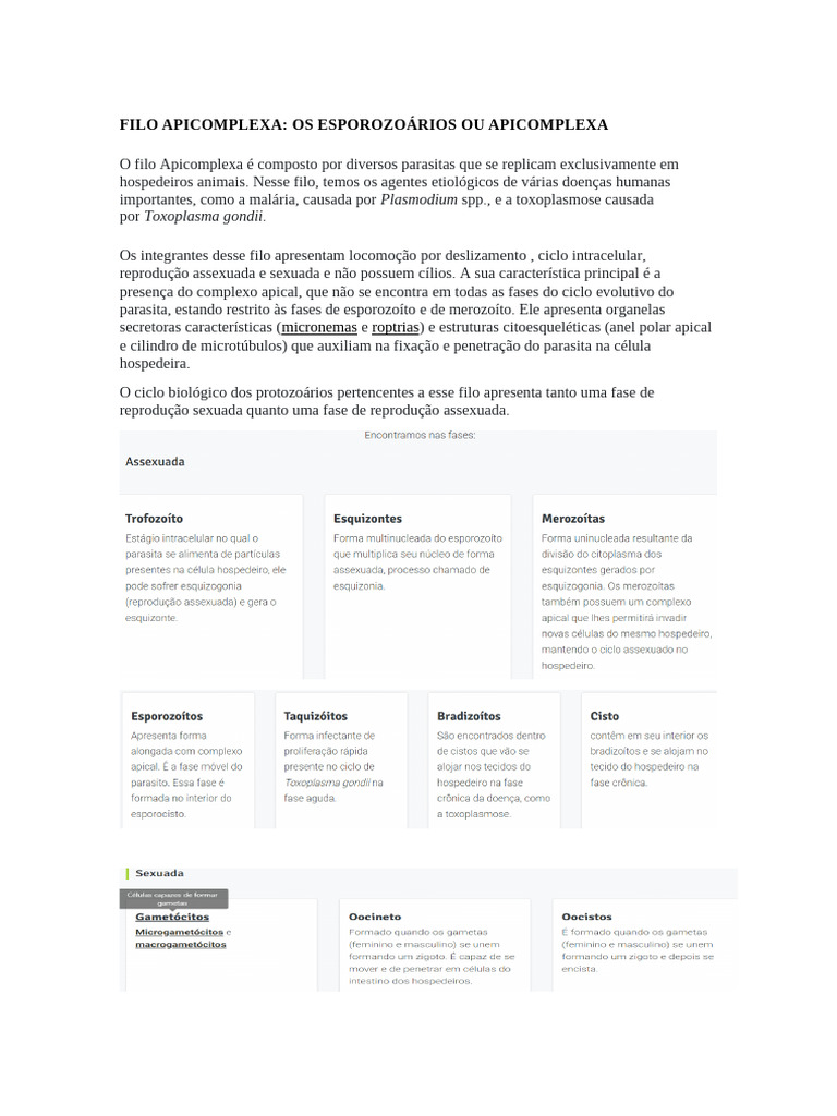 FILO APICOMPLEXA (Toxoplasmose, Malaria, Balantidiase) | PDF