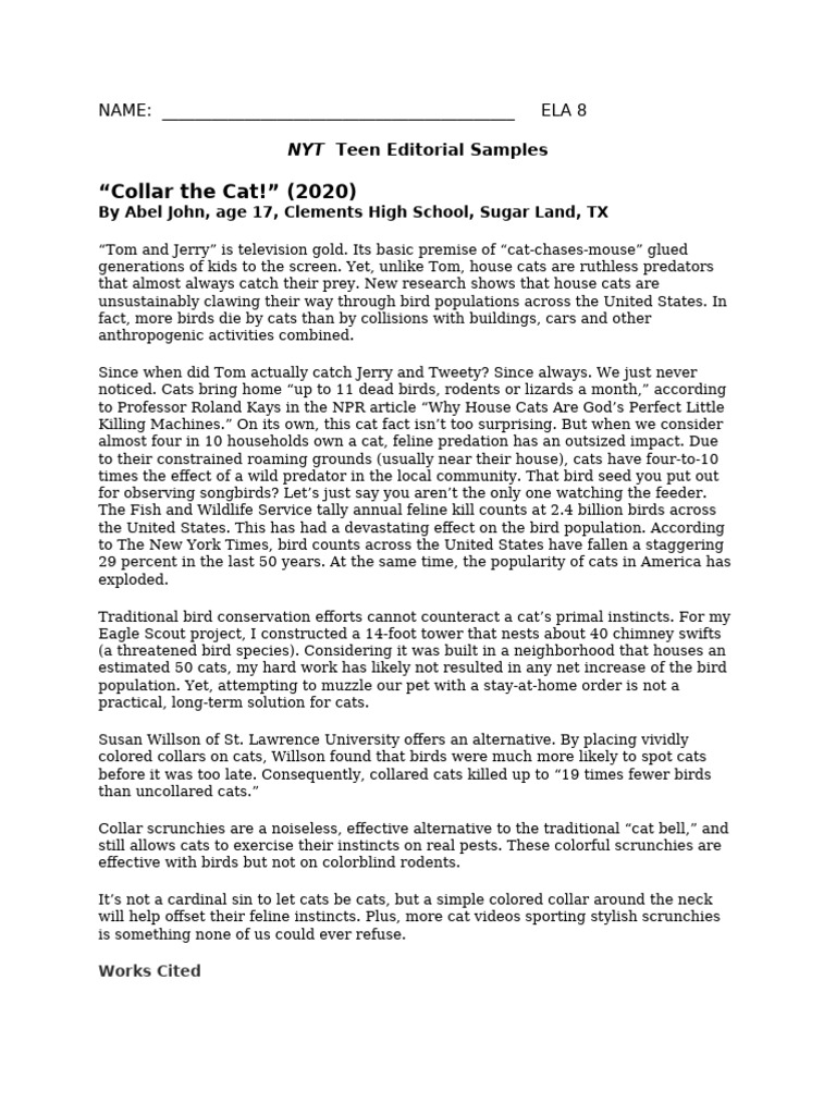 NYT Teen Editorial Samples | PDF