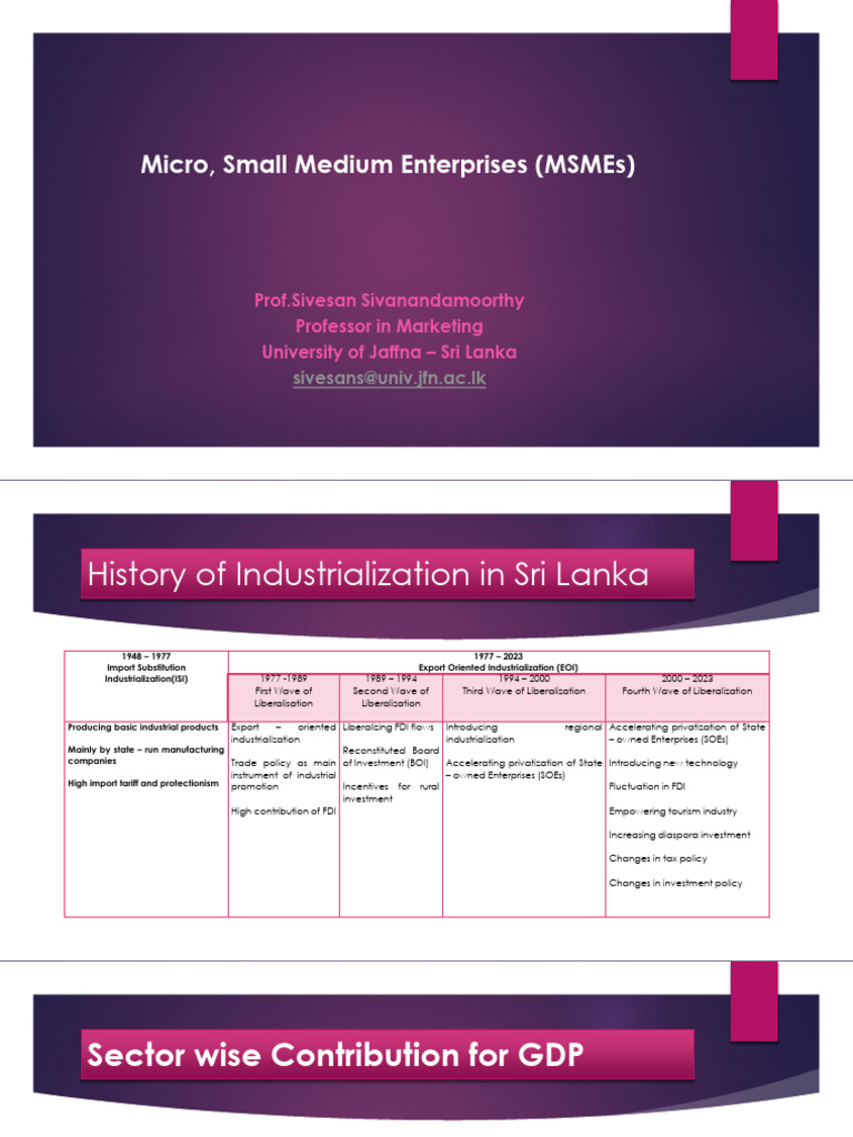 MSMEs - Lesson 03 | PDF