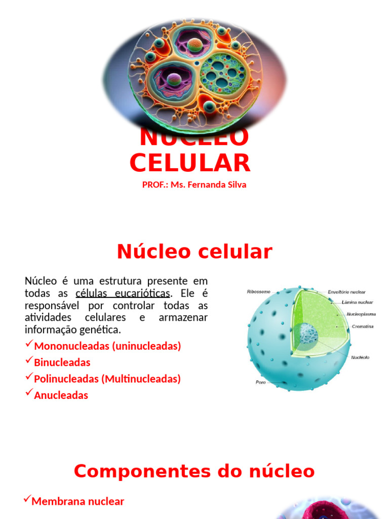 Nucleo Celular | PDF