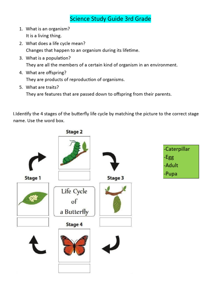 Science Study Guide 3rd Grade III Quarter. | PDF