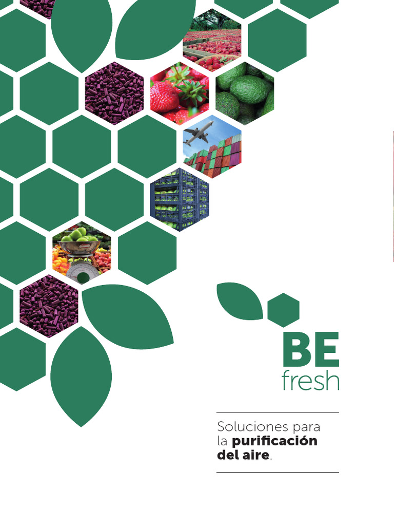 BEfresh Technology Brochure Sp-2 | PDF