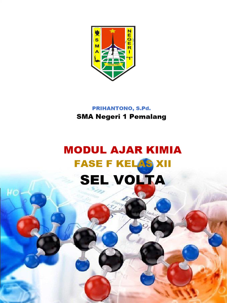 MA KIM - TH 24 - F12.3 Sel Volta - PRIHANTONO | PDF