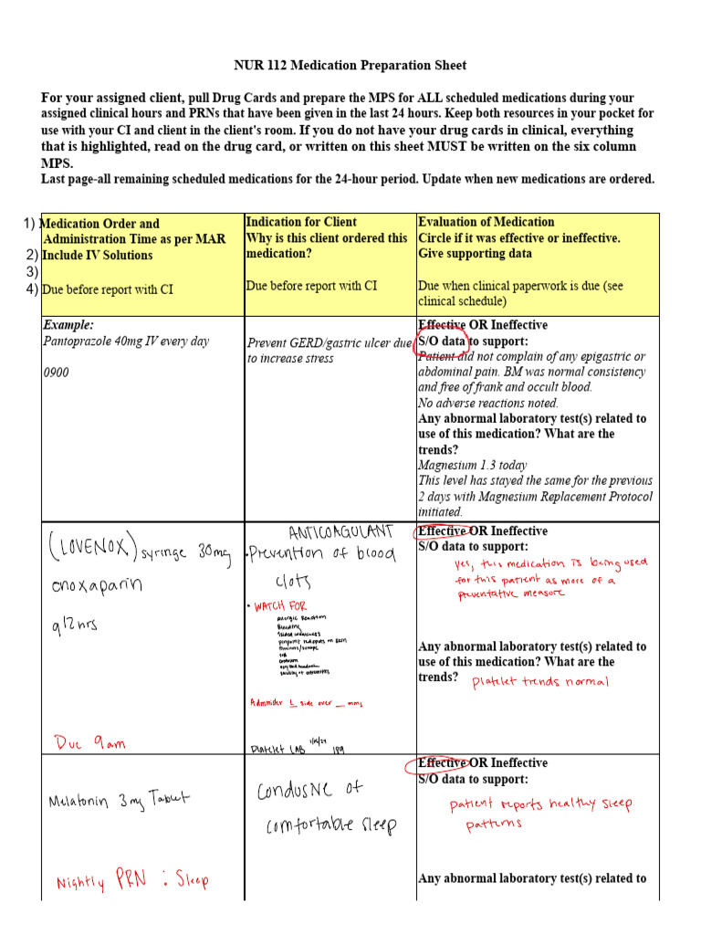 WK 1 Blank Med Prep Sheet | PDF