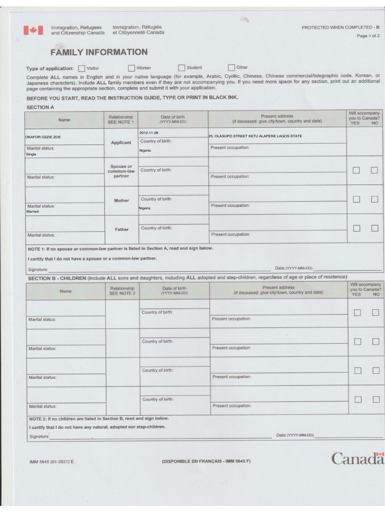 Unfilled Family Information 2 | PDF