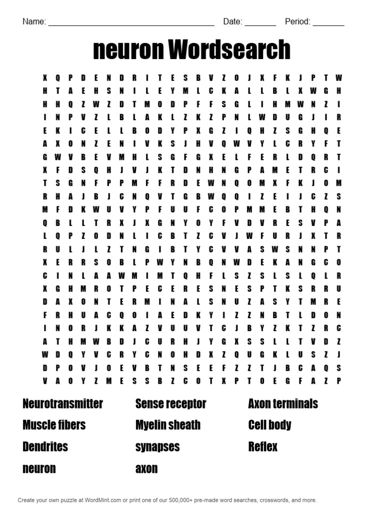 STEAM+Neuron+Word+Search | PDF