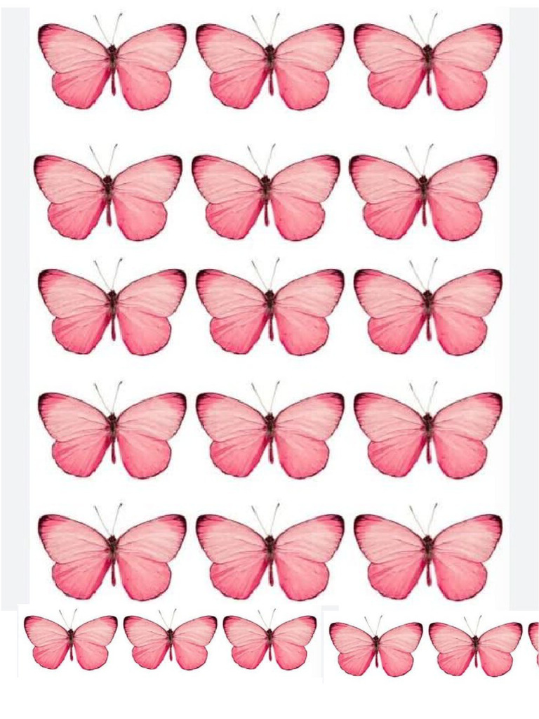 Mariposa | PDF