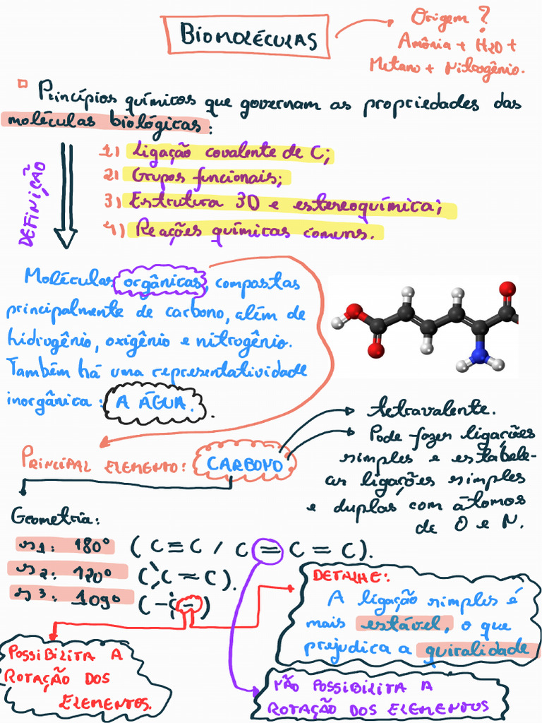 PROVA 1, Resumo de Matheus de Sá | PDF