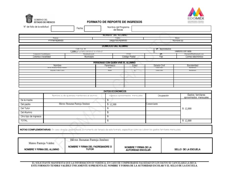 Formato de Reporte de Ingresos 2023-2024 | PDF
