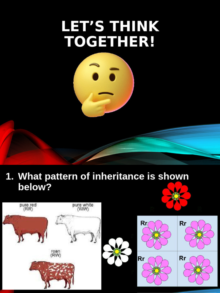 Multiple Alleles | PDF