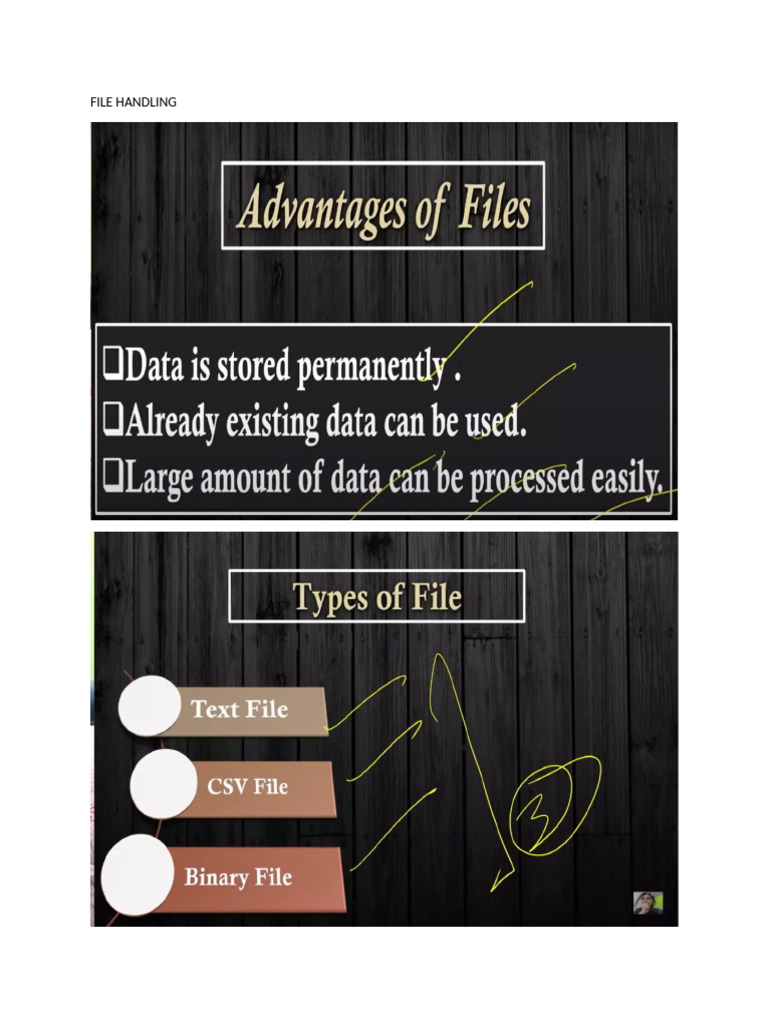 Text File Handling | PDF