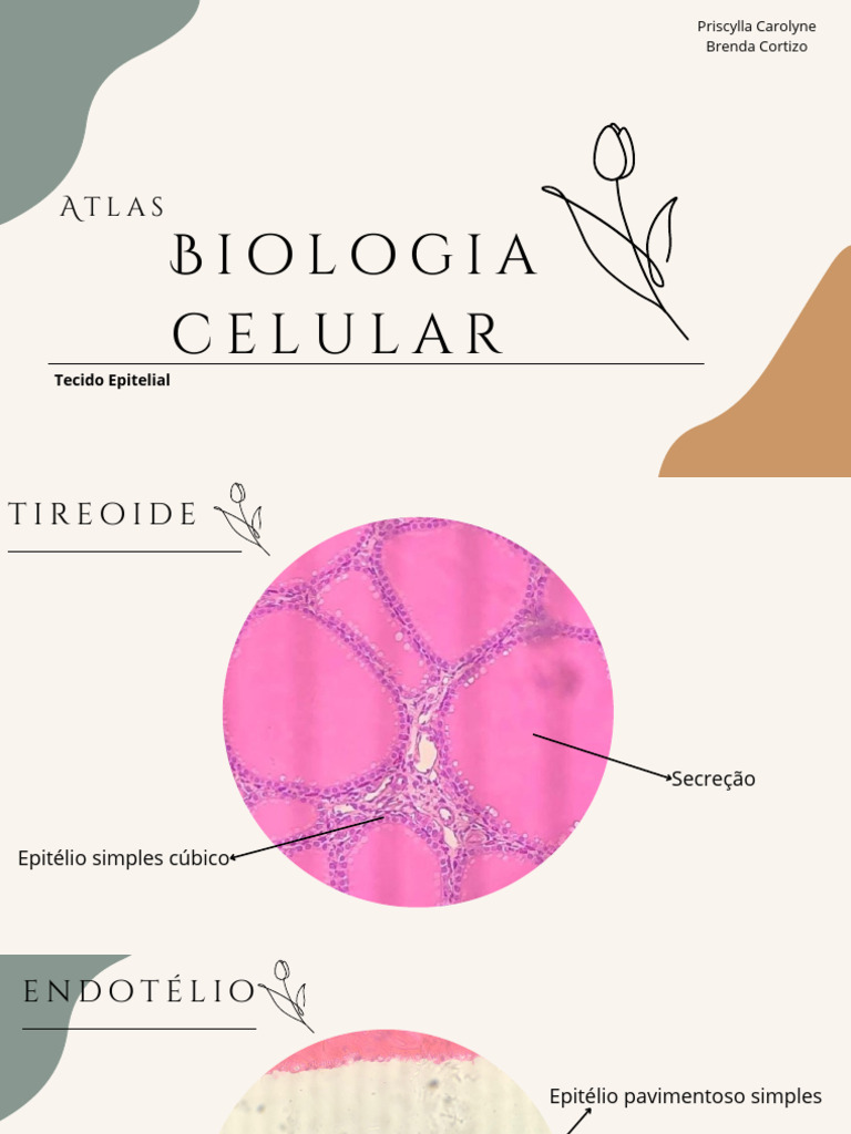 Atlas Bio Celular | PDF
