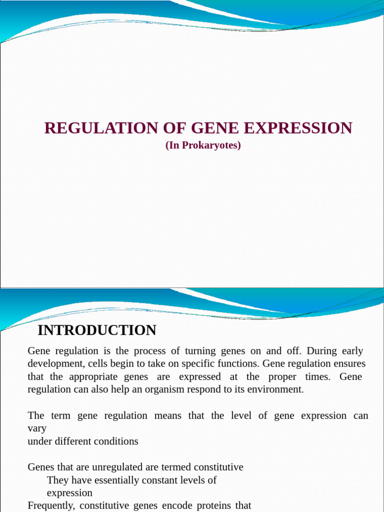 Regulation of Gene Expression | PDF