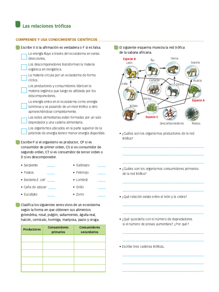 C-1º Pract-Act 4 Cyt | PDF